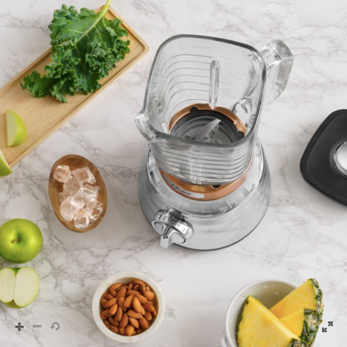 Oster Beehive Performance Blender – R & B Import